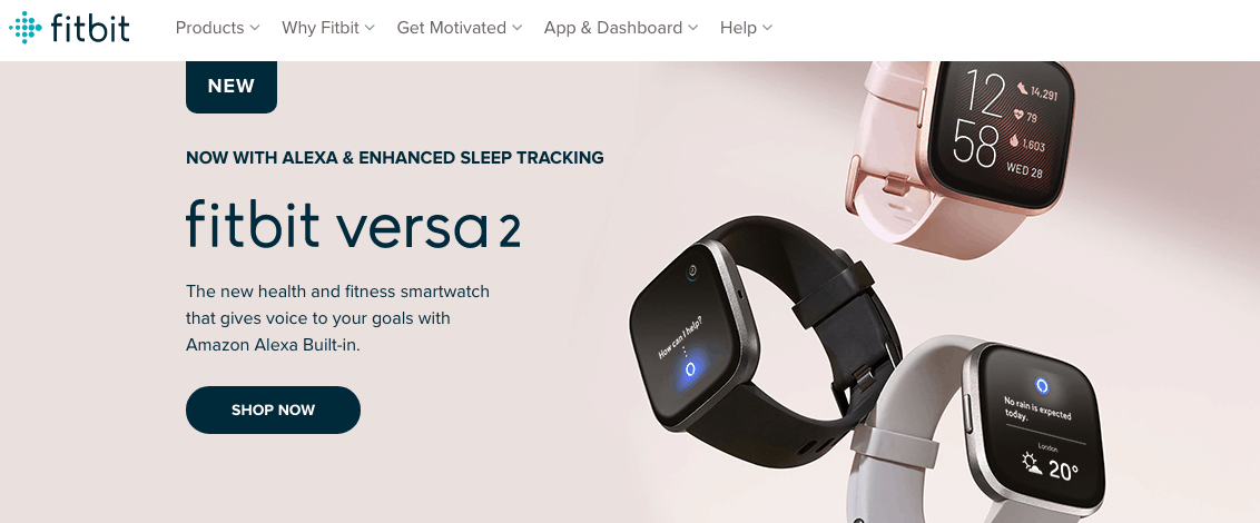Fitbit Review: Legit & Safe? 2025